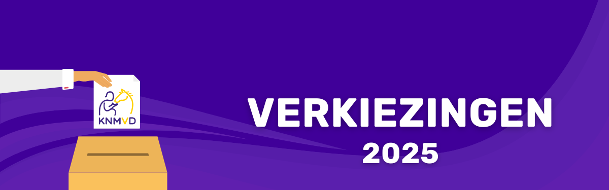 Verkiezingen 2025 | Wat kan ik doen? | Wat kan ik doen?